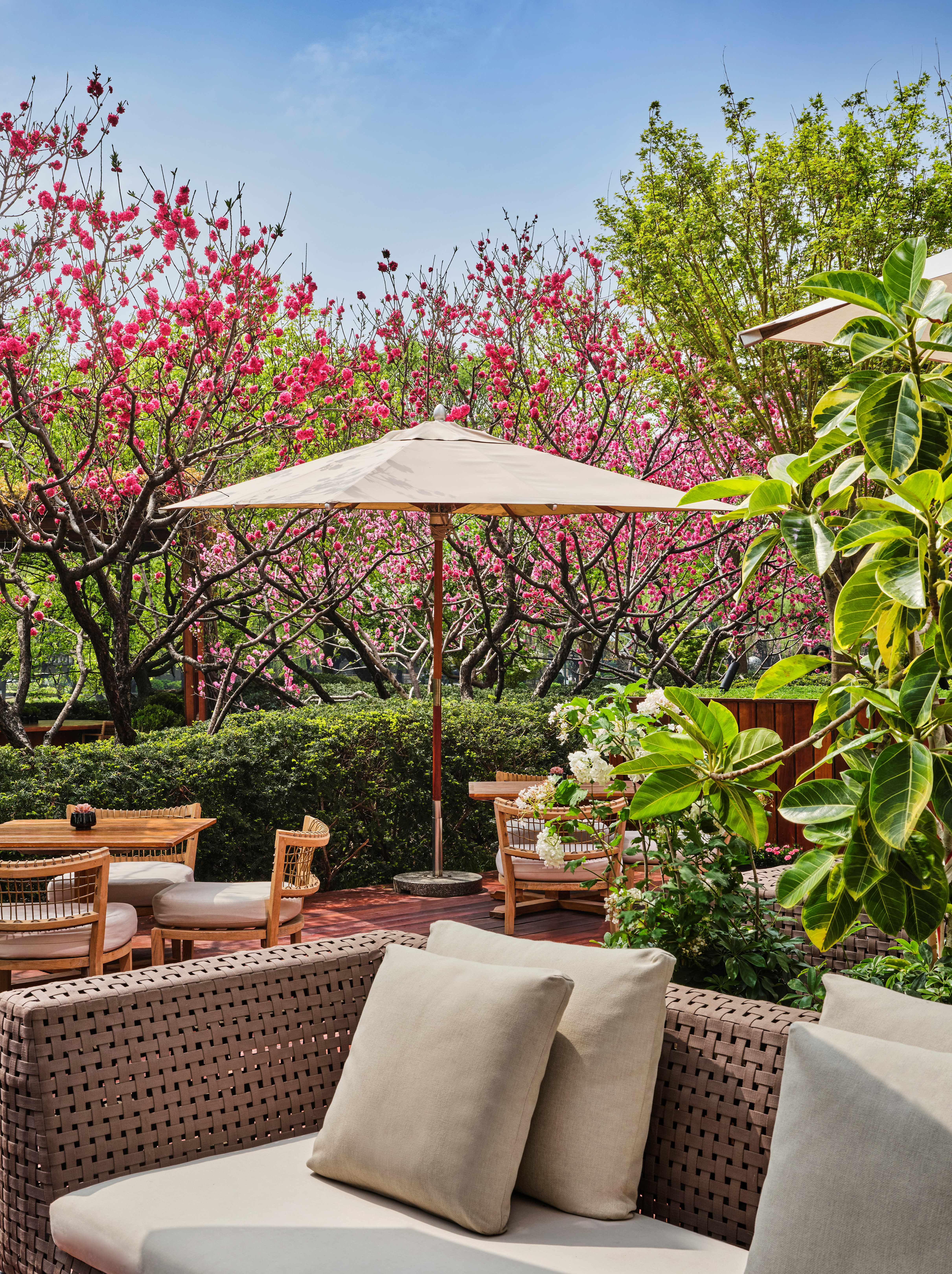 漫步芬芳意境 于北京宝格丽酒店共赴春日诗意之约